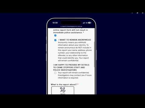 What Information Matters When Reporting
