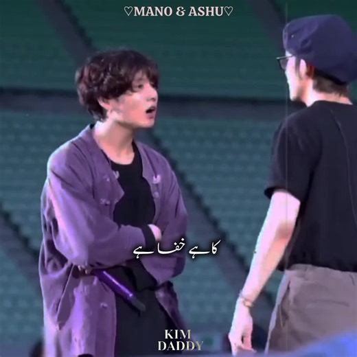 I Am Sorry Darling: Emotional Apology and Reflection