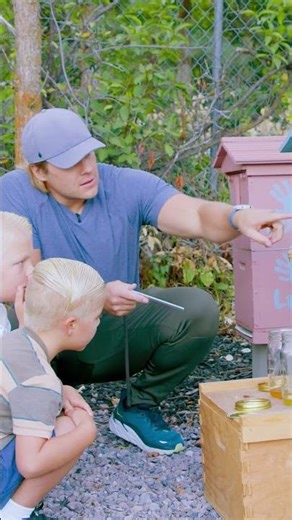 What's your favorite part of beekeeping? #beekeeping #honey #beekeeper