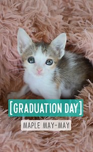 340K views · 23K reactions | Graduation Day — Maple May-May Where do...