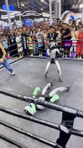 Robot Real Steel Combat 🤖🥊 AI Boxing Match!