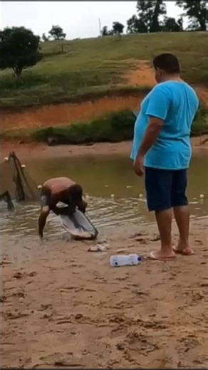 The Amazing Evolution of Jumping Fish