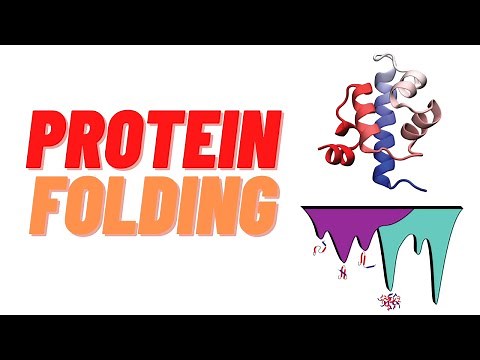 Molecular dynamics simulation of the folding process of a simple protein