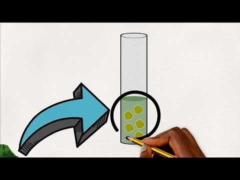 Extracting total lipids using accelerated solvent extraction