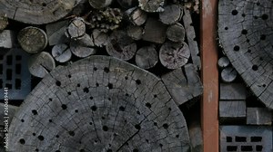 insect hotel, bug hotel, insect house, shelter for insects