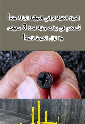 Hidden advantage of these drywall screws! Used in humid environments for 3 years, threads still smooth!! 🫢😱#screws #factory #highquality #steelnails #nails #productionline #supplier #trending #viral #tiktok #foryoupage #fyp