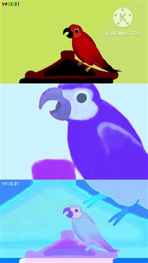 A Bird.., in Split Screen Background and Blending in Front Video