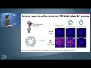 The Coming of Age of De Novo Protein Design