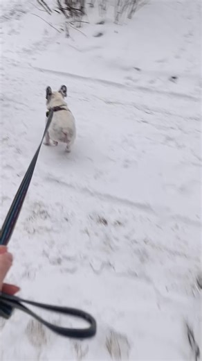 ojciec zostaw mój śnieg , ja go uwielbiam i jest mi potrzebny #zabawa#zima #snieg