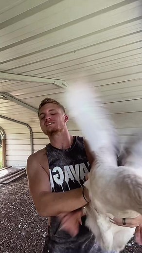 Proper Ways to Hold a Goose for Safety and Comfort