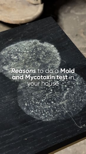 Superstratum on Instagram: "If you’re seeing visible signs of mold, don’t rely on guesswork and confirm what you’re dealing with. Our Mold and Mycotoxin Detection Kit helps you identify not just mold growth but the toxic byproducts it leaves behind. This test is 33% off on our Black Friday promo from November 28 - December 5 only! #superstratum #blackfridaydeals #mycotoxinawareness #moldtesting #moldkit"
