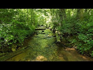 North Georgia Mountains - Jones Creek Road