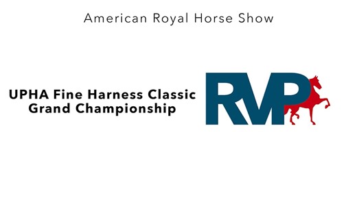 AR24 - Class 121 - UPHA Fine Harness Classi Grand Championship