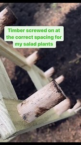 12K views · 230 reactions | This is my handy homemade dibber. The timbers are screwed on at the correct spacings for my salad plants, It saves marking out the bed and it creates a little hole making it so easy to just drop the seedlings down in the soil. #gardening #veggarden #gardeningtips #gardeninglife #gardeninghacks #growyourown #growathome #gardentools #handy #eathealthy #healthyfood #gardenlove #growfoodnotlawns #growtogether | Portnoo Market Garden | Facebook