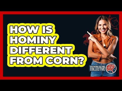 How Is Hominy Different From Corn?
