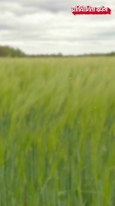 Welcome To Our YouTube Channel PRATIYOGITA DARPAN OFFICIAL The National Bank for Agriculture and Rural Development (NABARD) unveiled its Climate Strategy 2030 document. #GreenFinancing #UPPCS #upscprelims2024 #BPSC #CGPSC #MPPSC #MPSI #UPP #UPRO | Pratiyogita Darpan - India's largest Read Career and Competition Magazine