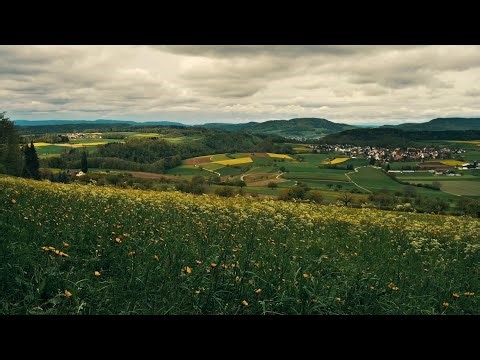 Traveling didn’t fix me| I Was Wrong.