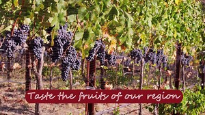 Our region's premier wine and food event, the Wenatchee Wine & Food Festival, will be at the Town Toyota Center on Saturday, August 25 and tickets are going fast. Visit wenatcheewineandfood.com to get details and reserve your spot today! | Wenatchee World