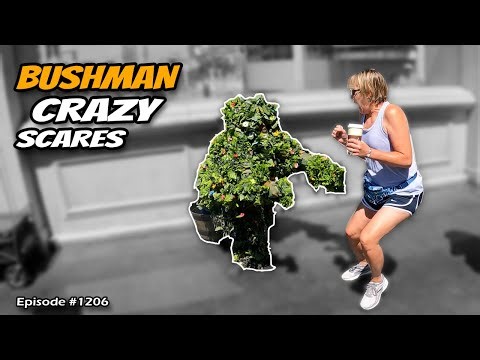 “This prank went WAY too far 😳”