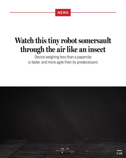 Science Magazine on Instagram: "The world’s most daring stunt pilot would struggle to outmaneuver a fruit fly. ⁠ ⁠ Aerial insects are some of the nimblest creatures on the planet, expertly pulling off rapid turns, abrupt stops, and midair flips with an agility engineers have long strived to bestow on similar-size flying robots or drones. Now, a group of scientists at the Massachusetts Institute of Technology has taken a major step toward that goal. ⁠ ⁠ Their tiny winged robot, described in Scien