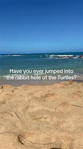 It’s funny to me because when I was down in the flat earth rabbit hole years ago, the turtle rabbit hole presented itself to me. * I won’t go into much detail here. But I will say there’s a reason ancient civilizations depicted us living on the shell of a massive turtle. * I’ll sprinkle in the fact that sidereal astrology is also related to the shell of the turtles. * The truth is stranger than fiction! * #Turtles #SiderealAstrology #Ancestors #Truth #RabbitHole | Isaiah David Rockett