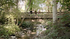 36K views · 429 reactions | Healthy really can be simple with doTERRA. In the Healthy Can Be Simple Guide, page 12 is dedicated to the InTune Focus Blend. This Blend enhances and sustains a sense of focus and clarity. For a first-hand account of the ability of InTune, check out this video with Diamond, Amanda Garibay. Share this video at your next class utilizing the Empowered Success Guides! | doTERRA Business USA | Facebook