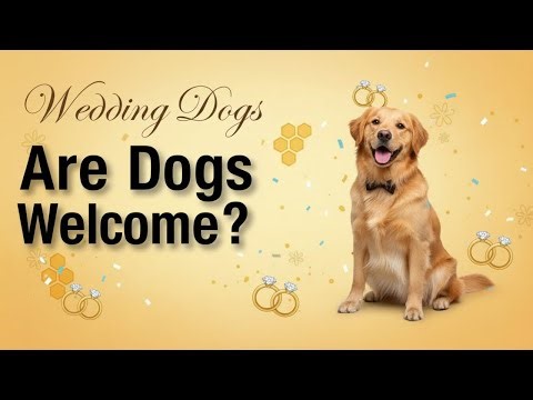 Dogs at Weddings: Good Idea or Not? 💒🐶