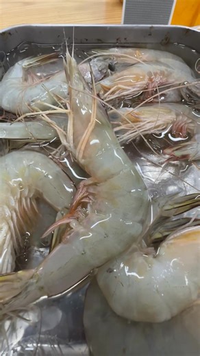 🔱 HAPPY DECEMBER 🔱 TODAY SPEACIAL ——————————- 🍽️ Curry Sauce 🍽️ Braised Pork Trotter 🍽️ Siew Mai 🍽️ Luo Mai Gai 📣Balai Threadfin Fillet 📣Salmon Fillet 📣Batang Steak 📣Tuapan Fillet 📣Red Grouper Sliced 📣Golden Snapper Sliced PROMOTION ITEMS ———————————— 🇮🇩 Red Grouper 七星班 🇮🇩Long Dan 龙胆￼石班 🇲🇾Mackerel 🇲🇾AngKar Prawns 🇲🇾Kee Fish 🇲🇾Sole Fish 🇲🇾Flower Grouper 🇲🇾Black Pomfret 🇲🇾Greeneye Grouper 🇲🇾Seabass 📌Live orders details 📌Session Date: 3 Dec 2025 🚚Delivery date: 4 