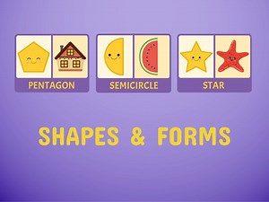 Shapes & Forms Match