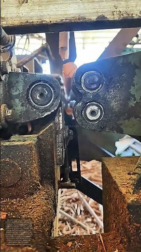 Hydraulic Shears in Action: Precision Cutting Power