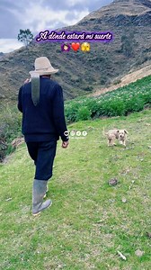 169K views · 1.5K reactions | Aquí es donde encuentras el verdadero paz ❤️❤️‍啕 #agricultura #campo #COMPARTEYSIGUENOS #shunqusuwa | Tiwi Aguilar | Facebook