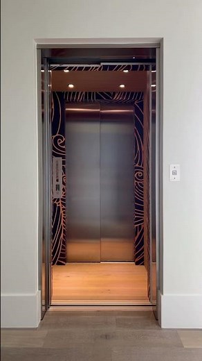 Modern Passthrough Home Elevator | Commercial Doors + Custom Interior Design | Southeast Elevator
