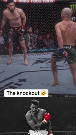 The knockout #boxing🥊 #ufc #fyp