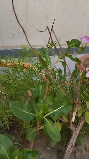 Life is Unpredictable on Reels | Facebook