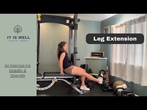 Leg Extension - At Home Version