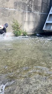 Kumarisipas ang mga isda | Master FRENZ the hunter