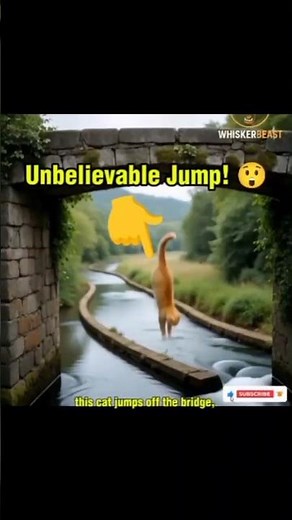 Unbelievable! Cat Catches a Fish Like a Pro 🐱🐟