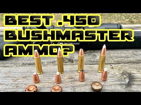 Best 450 Bushmaster Ammo?