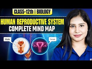Complete Mind Map of Human Reproductive System | Class 12 Biology NEET | Rankplus
