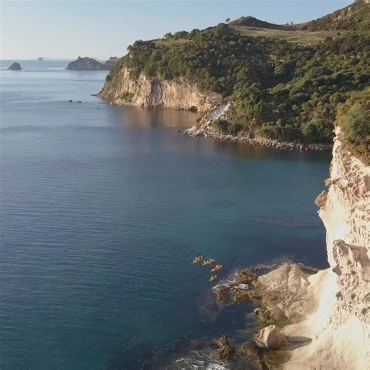 Go with the locals. Our qualified and knowledgable guides deliver a safe and enjoyable experience every time. No experience necessary ☀️ 🏖️ 😎 | Cathedral Cove Kayaks