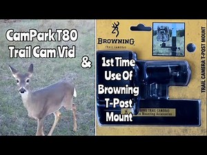 Browning T-Post Mount Review | CamPark T80 Trail Cam Video Nov. 4-17, 2022