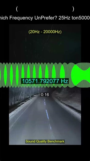Which Frequency U Prefer 25Hz 20 20000Hz