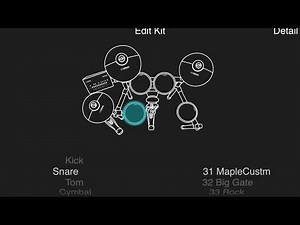 Using The App To Customize The DTX402