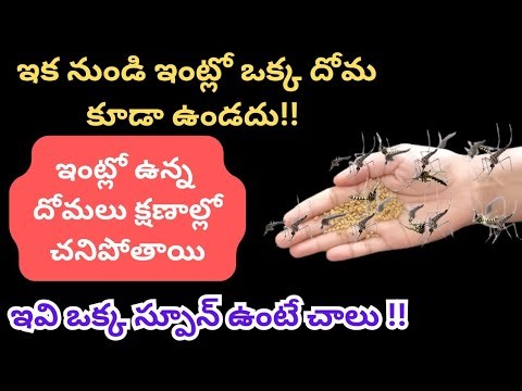 👉ప్రతి మహిళకు శ్రమను తగ్గించి డబ్బులు ఆదా చేసే సూపర్ టిప్స్ 🤔 Telugu kitchen tips 😱