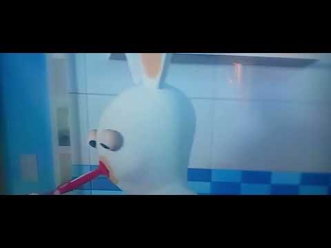 Toothpaste catch by rabbid