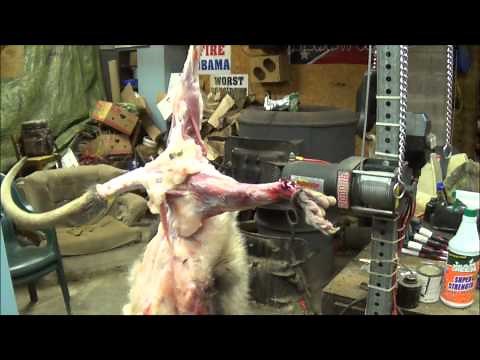 Professional Fur Handling: Opossum. Part 1- Skinning
