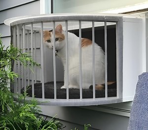 Cat Solarium Conservatory Package: Window Catio With Perch & Weather Enclosure - Etsy