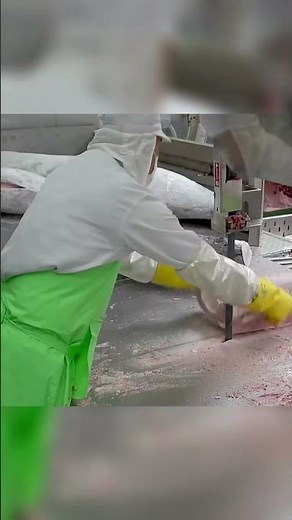 Tuna Fish Factory Japan🦈