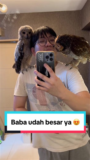 Bibib_family22 on TikTok