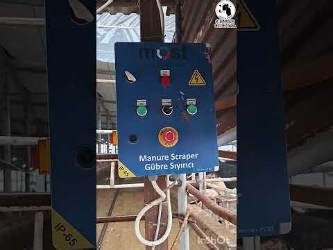 Chorva mollarini goʻngini avtomatik tozalash